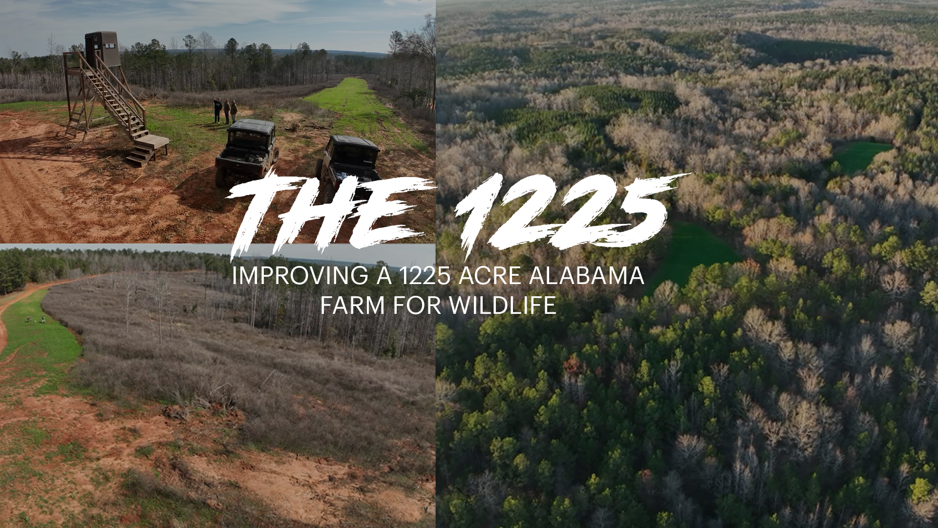 The 1225 - The Management Advantage