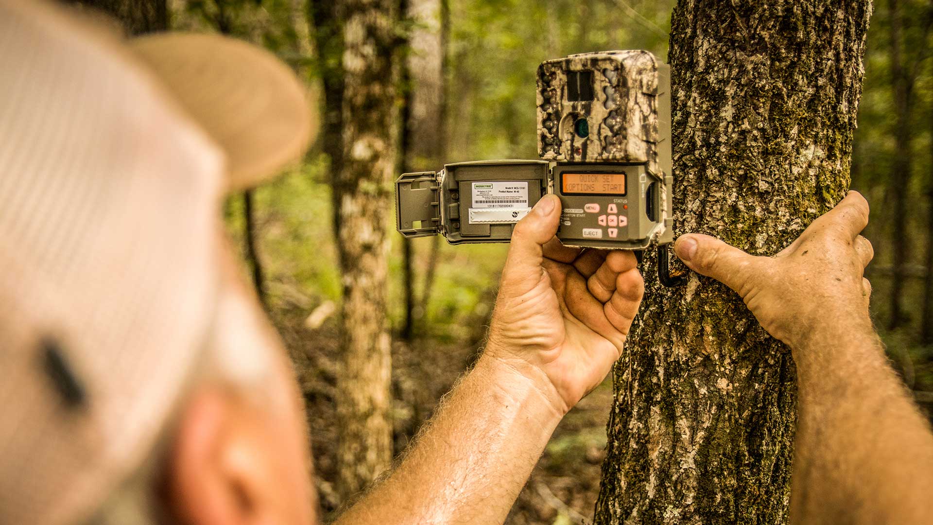 Trail Camera Surveys Pt. 2 - The Management Advantage