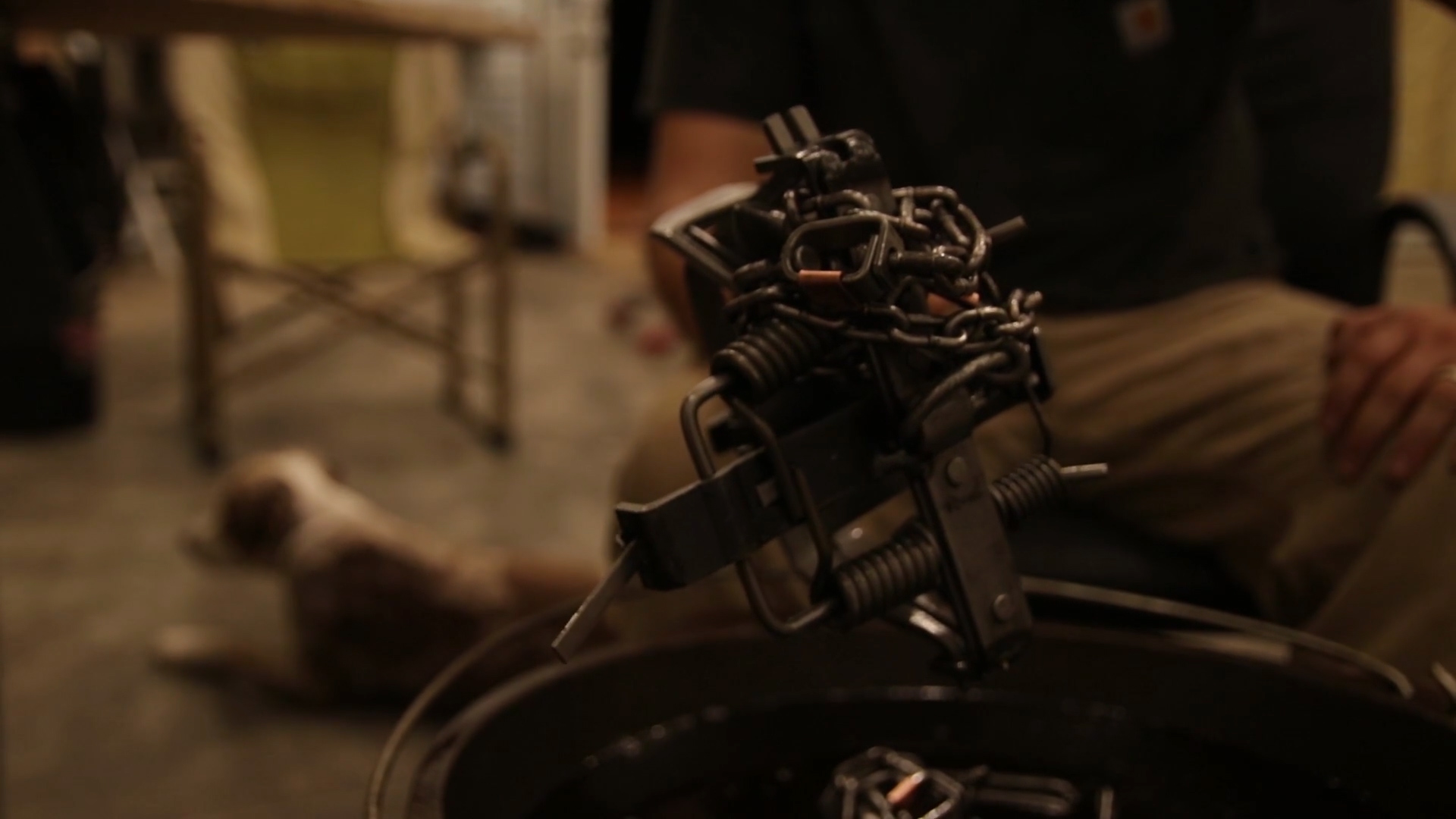 Trapping Prep - The Management Advantage