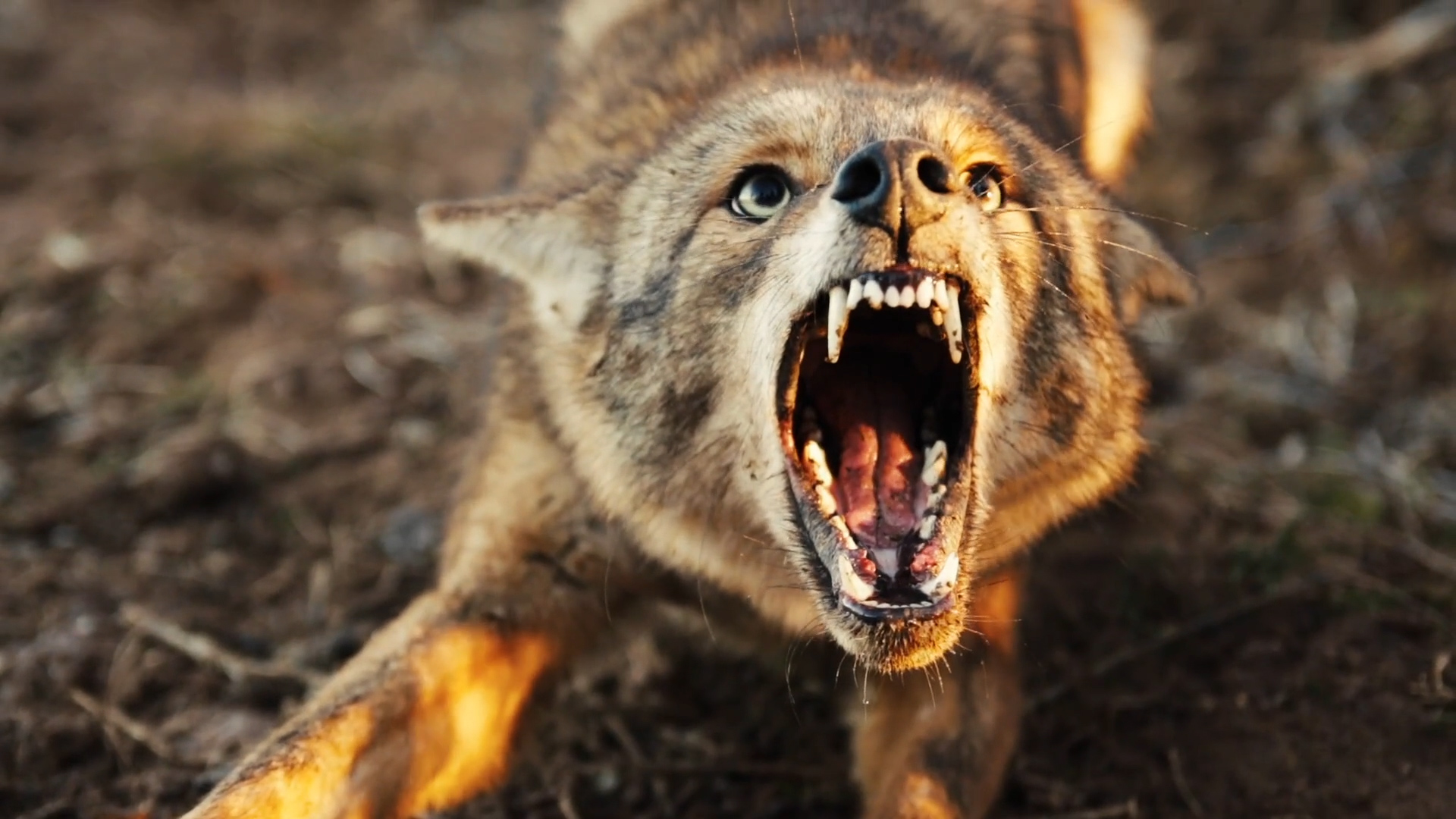 “Tuneup” - The Management Advantage