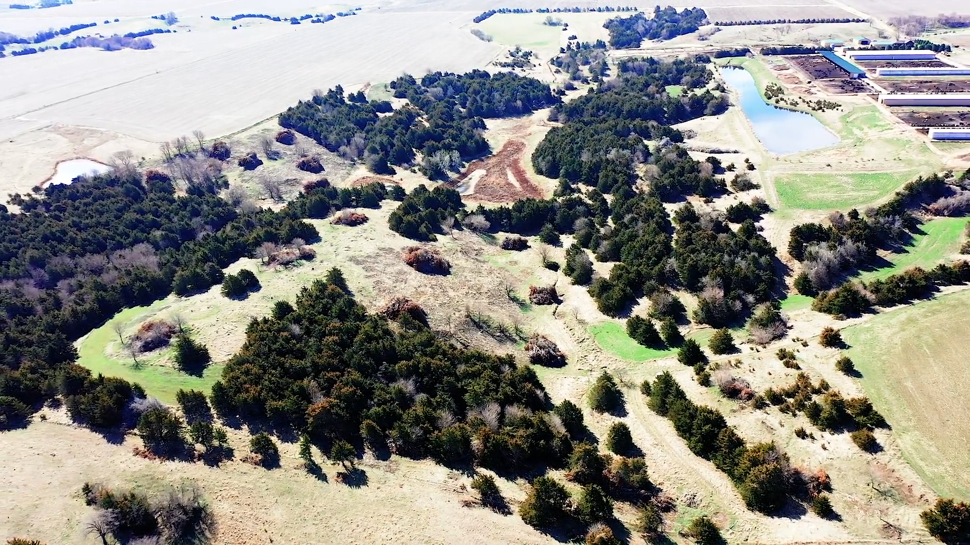 Cedar Tree Management - The Management Advantage
