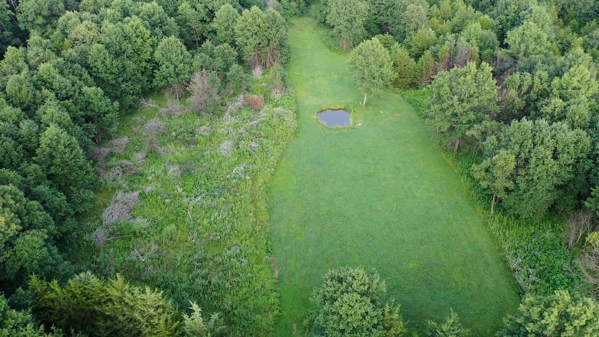 Creating Wildlife Habitat - The Management Advantage