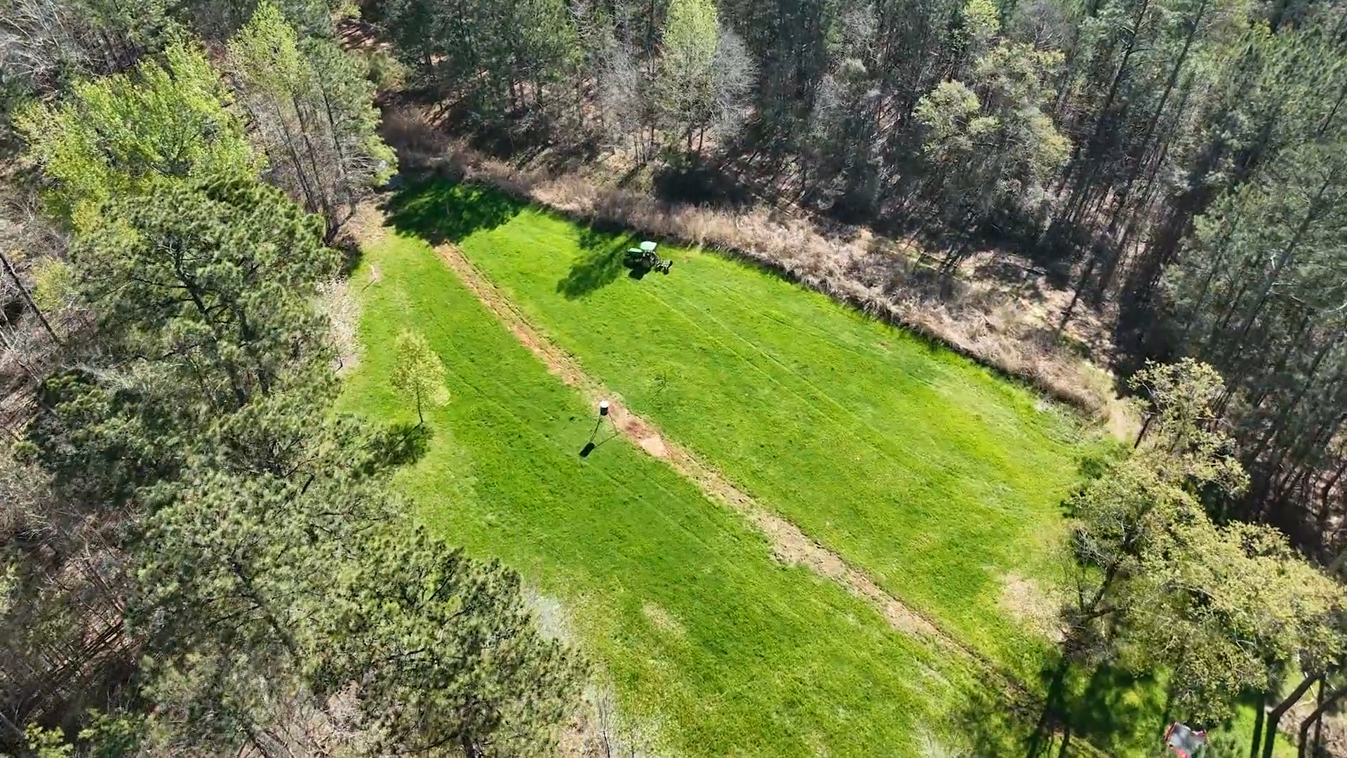 Perennial Planting For Entry/Exit Routes - The Management Advantage