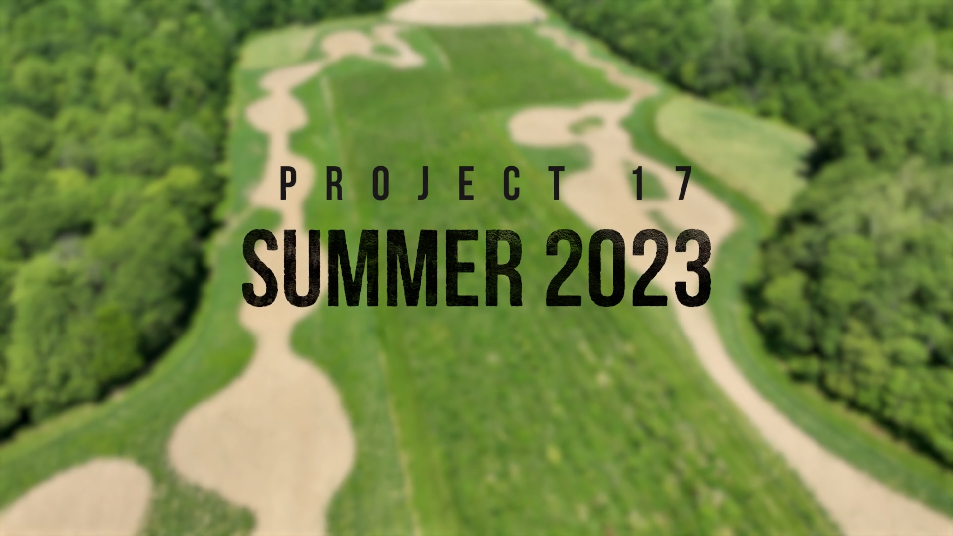 Project 17 Test Strip Update - The Management Advantage