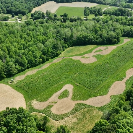 Food Plots For Ducks - The Management Advantage