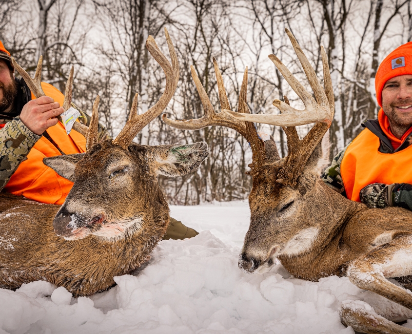 Food Plots For Ducks - The Management Advantage