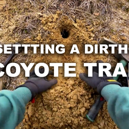 Wildlife Management - The Management Advantage