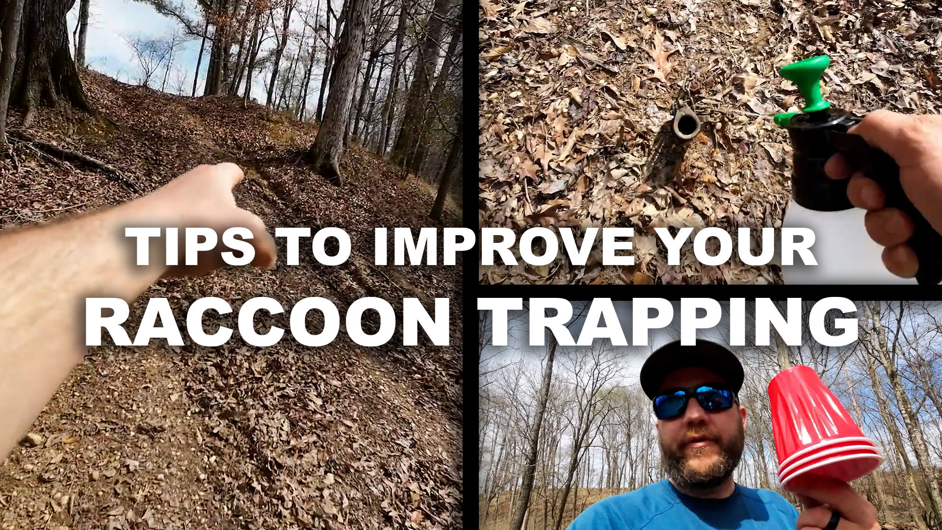 Raccoon Trapping Tips - The Management Advantage