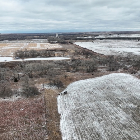 Food Plots For Ducks - The Management Advantage