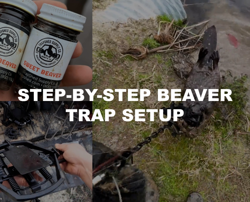 Home - The Management Advantage