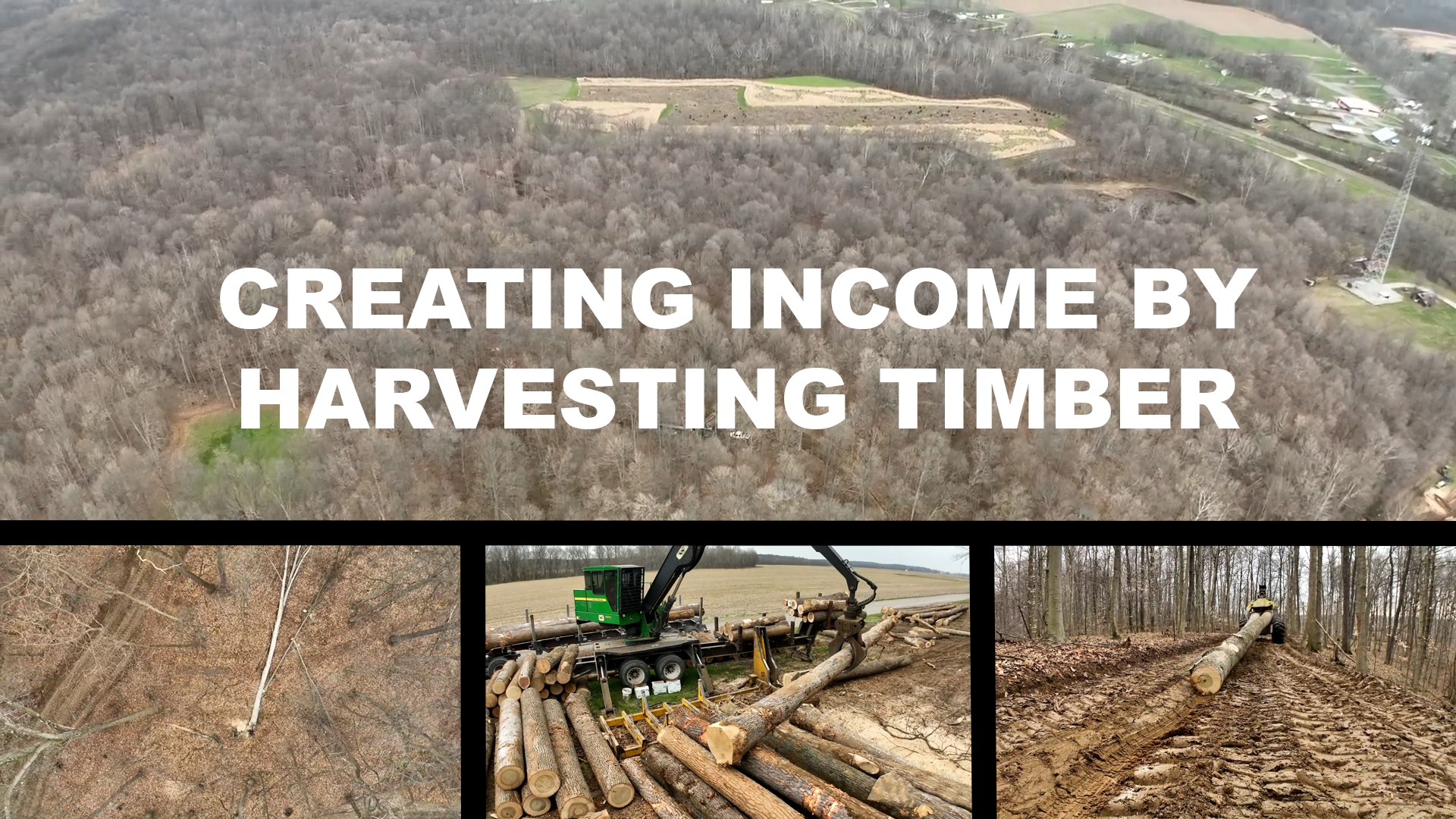 Creating Income by Harvesting Timber - The Management Advantage