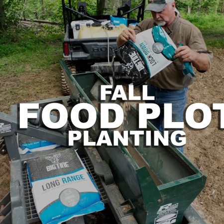 Food Plots For Ducks - The Management Advantage