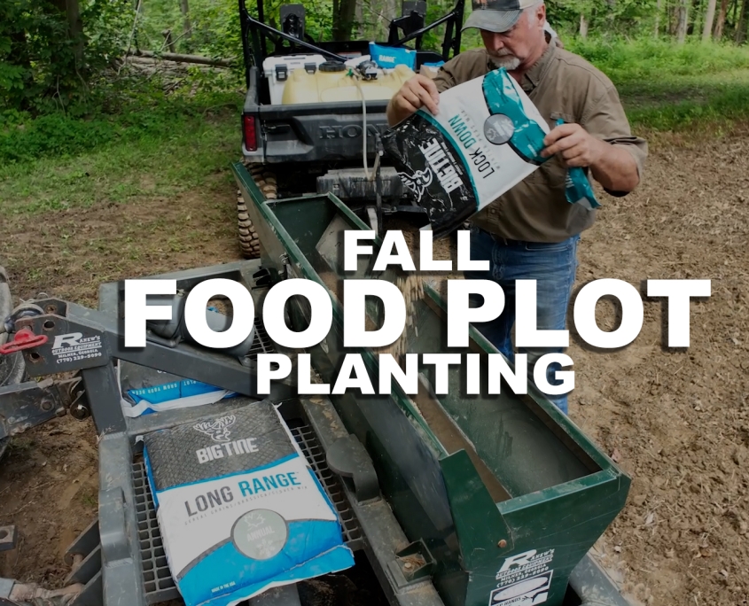 Food Plots For Ducks - The Management Advantage