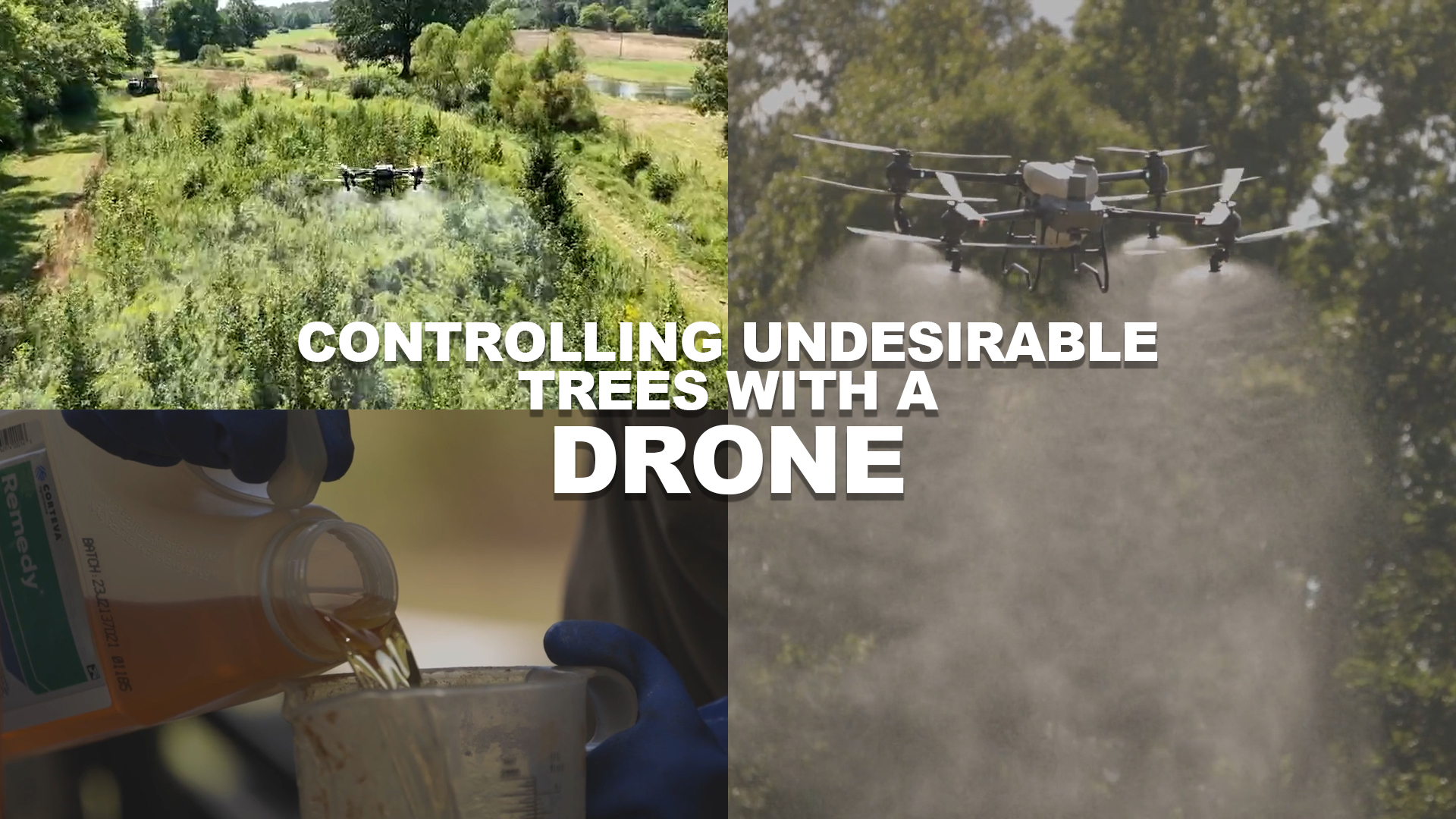 Controlling Undesireable Trees With A Drone - The Management Advantage