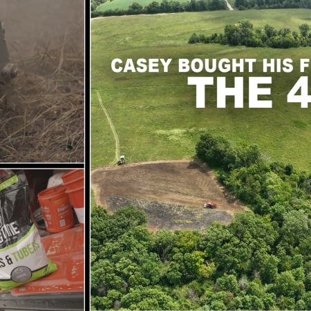 Food Plots For Ducks - The Management Advantage