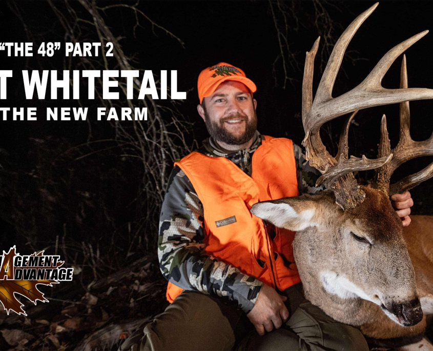 Food Plots For Ducks - The Management Advantage