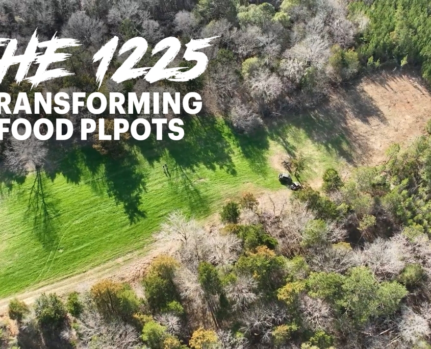 Food Plots For Ducks - The Management Advantage