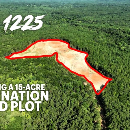 Food Plots For Ducks - The Management Advantage