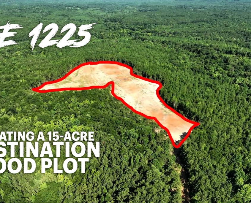 Food Plots For Ducks - The Management Advantage