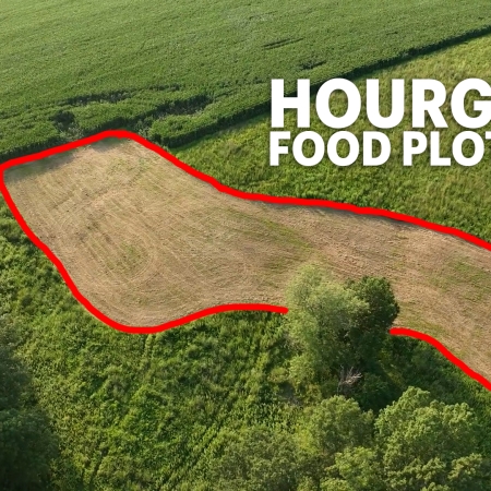 Food Plots For Ducks - The Management Advantage