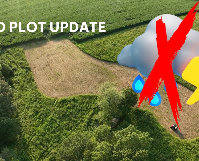 Food Plots For Ducks - The Management Advantage