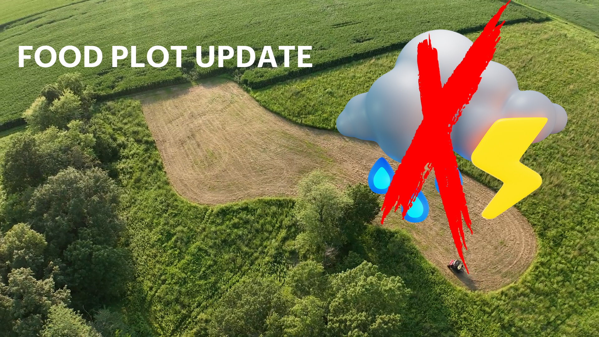 Hourglass Food Plot Update - The Management Advantage