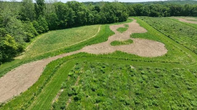 Planting Food Plots With A Drone - The Management Advantage